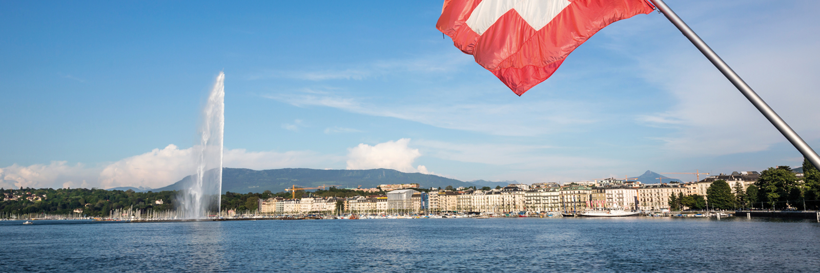 From the International University of Geneva to the International ...